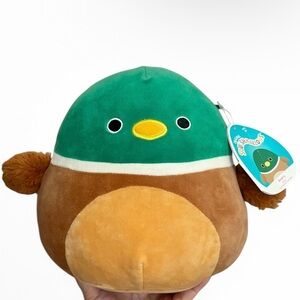 Squishmallows | Toys | Squishmallows Avery The Mallard Duck 75 With ...